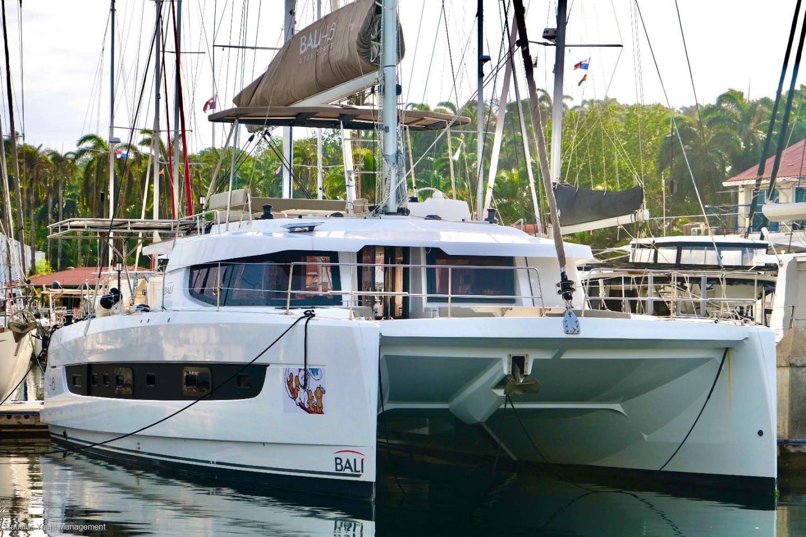 Used Bali Catamarans 4.6 Open Space One Owner. Never Chartered ...