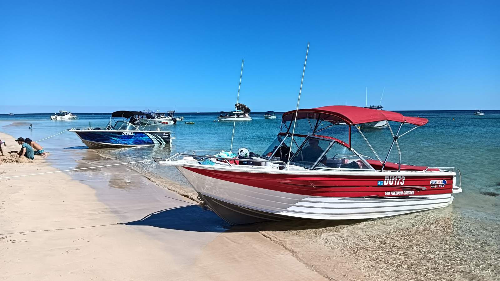 Quintrex 560 Freedom Cruiser: Trailer Boats | Boats Online for Sale ...