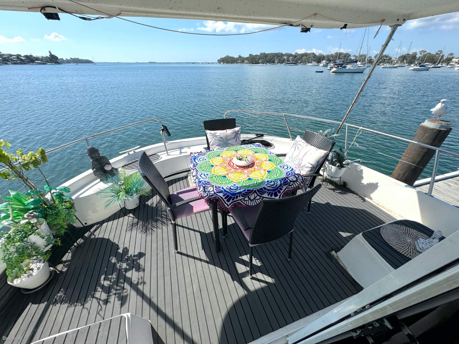 Used Coher 45 Homecruiser Bow Thruster + 15 Foot Quntrex With 30hp ...