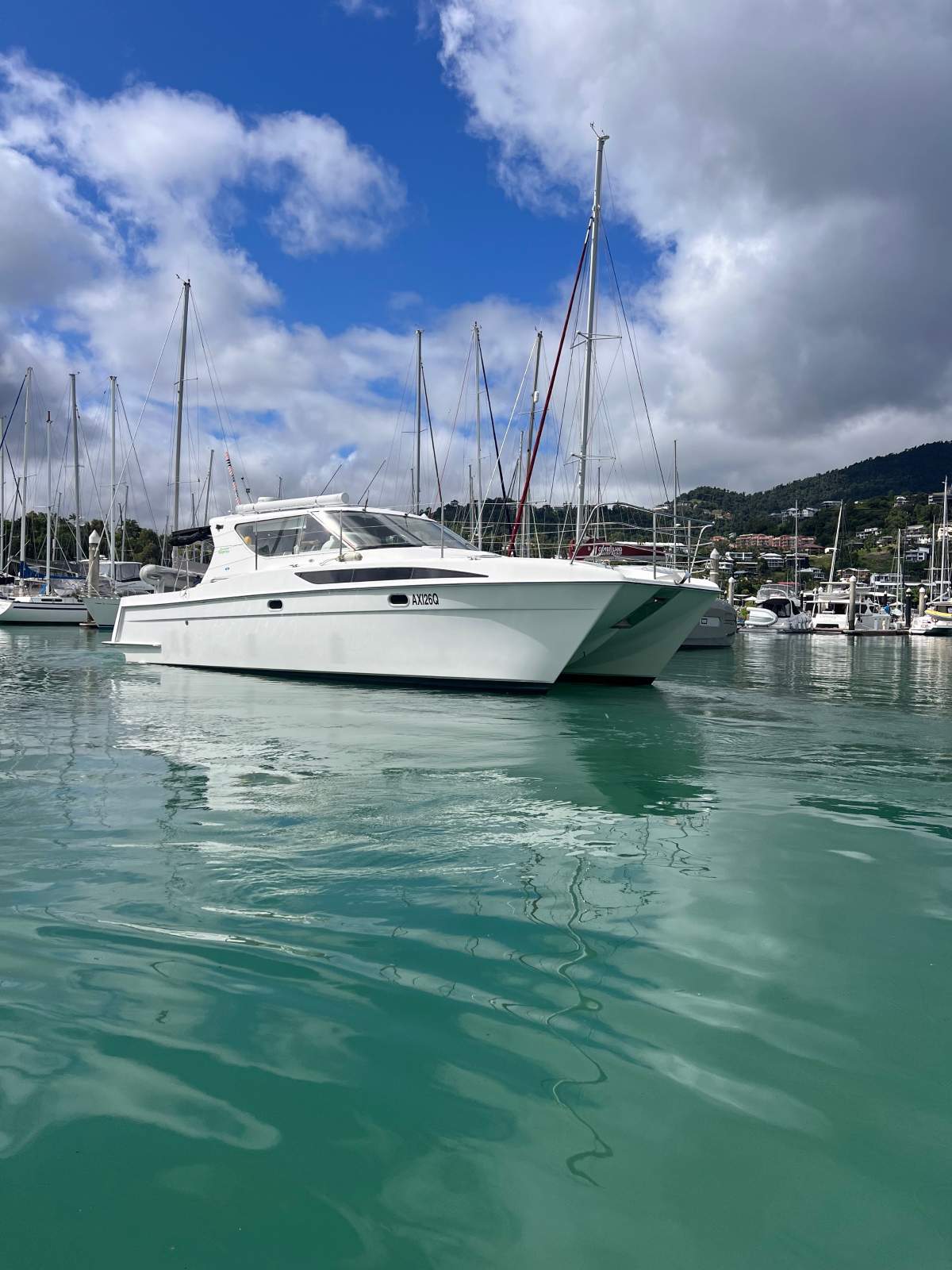 Used Haines Signature Powercat 3600 Express Sports Cat Reduced for Sale ...