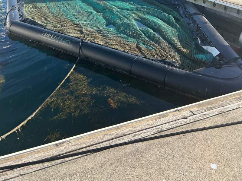 Seapen Advanced Dry-docking System for Sale | Marina Berths and ...