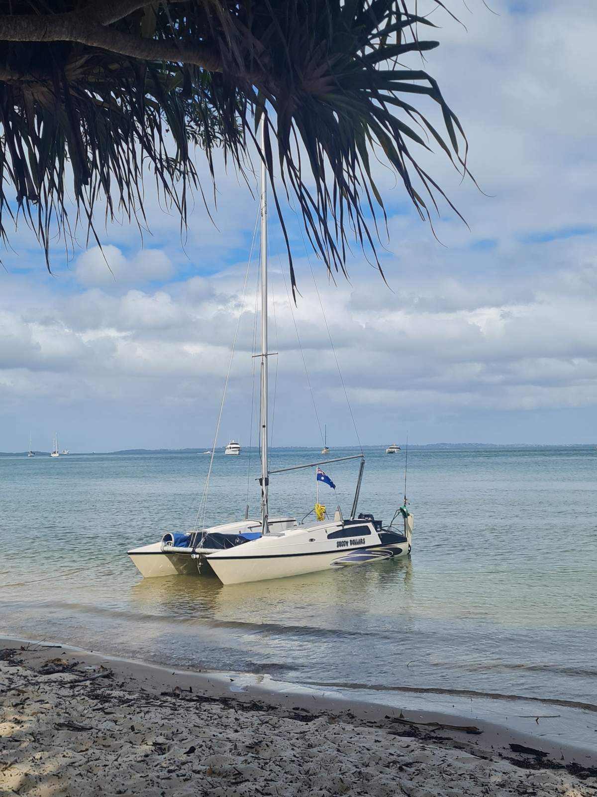 Used Windrush 600 for Sale | Boats For Sale | Yachthub