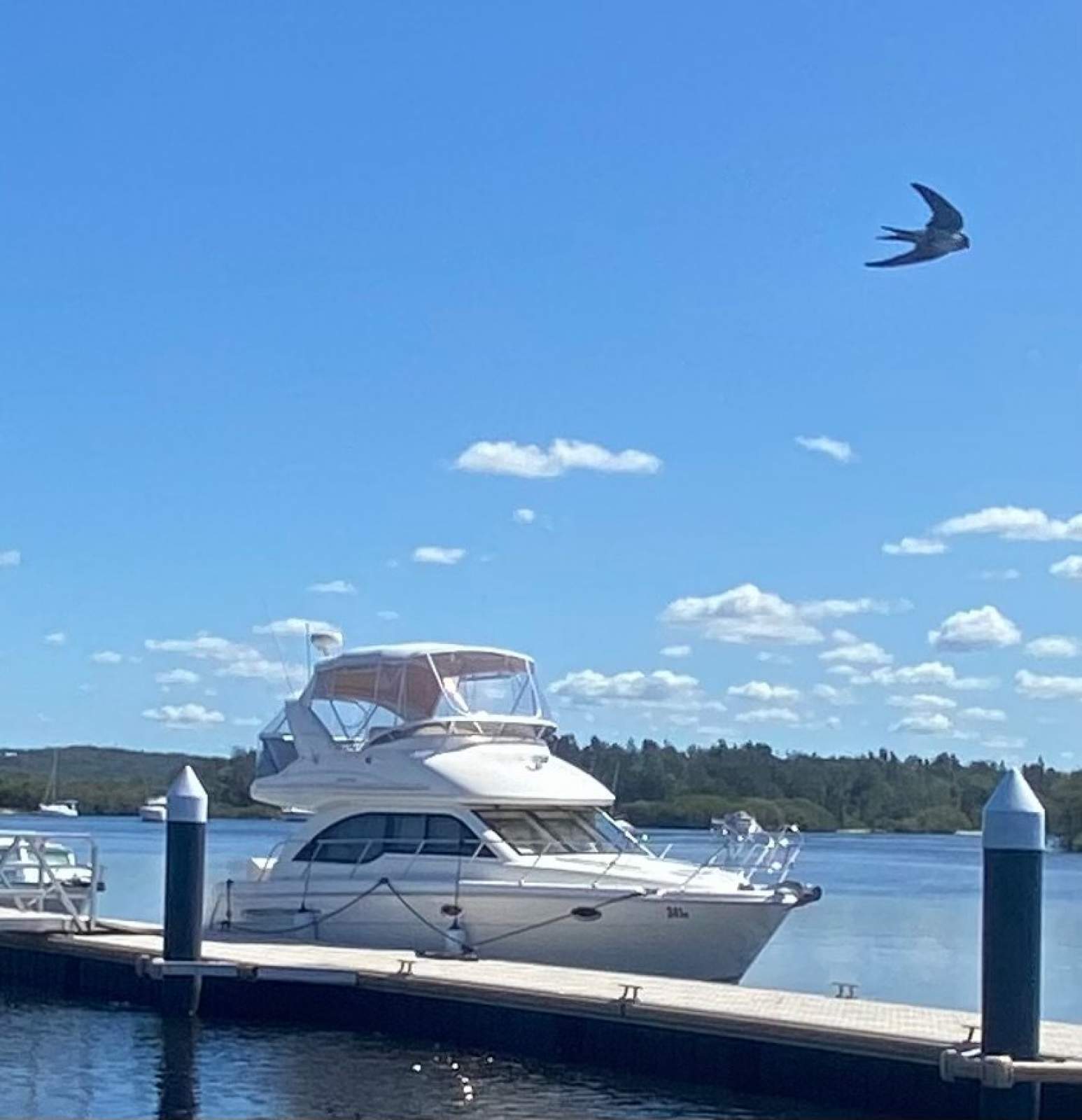 Used Meridian 341 for Sale | Boats For Sale | Yachthub