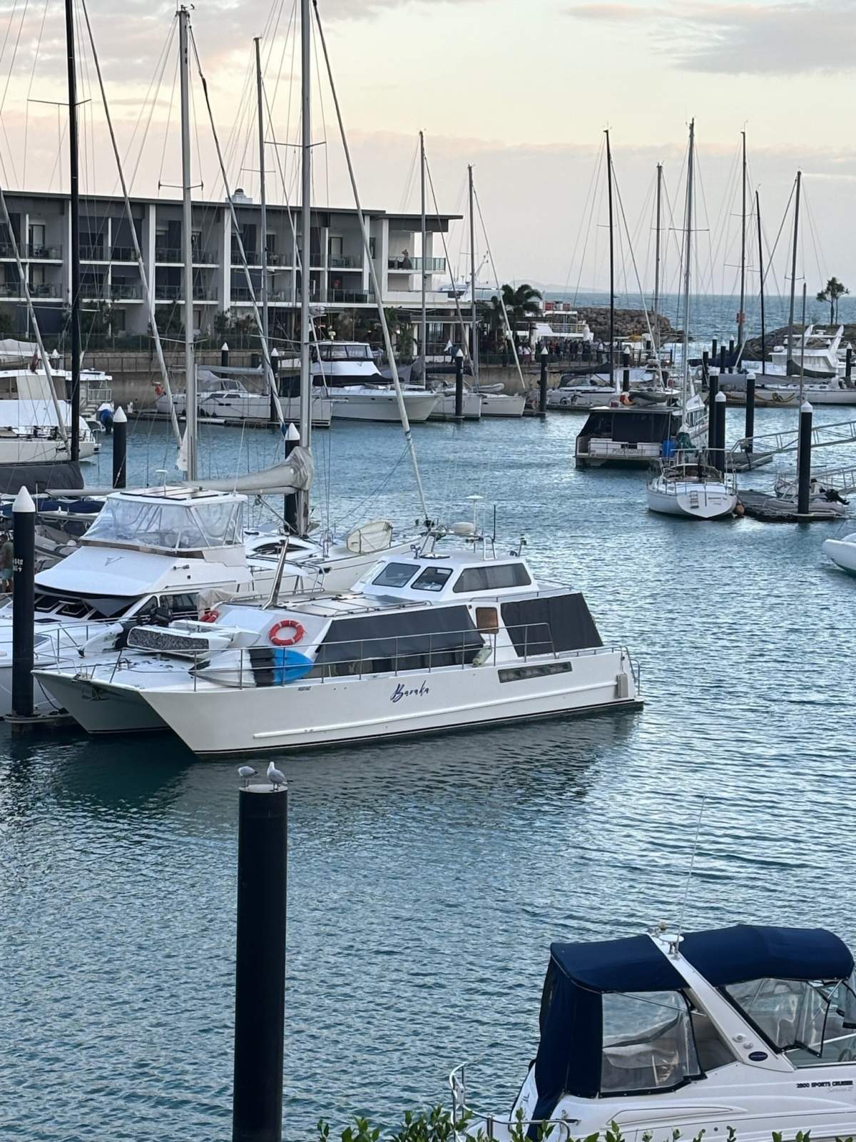 Used Ron Given Powercat 47 for Sale | Boats For Sale | Yachthub