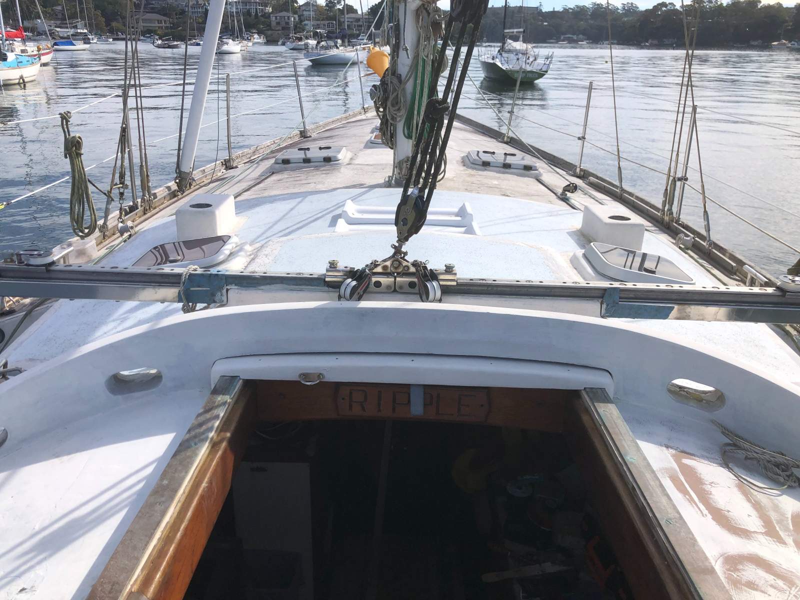 Used Roberts 36 Fiberglass World Sailing Updates (sydneyharbour) for ...