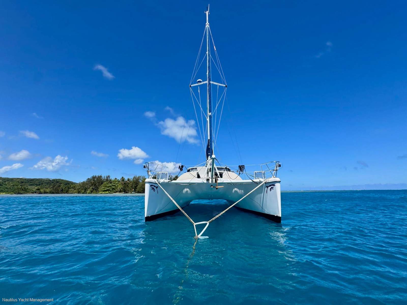 Used Privilege 435 Easy Cruise Model. 4 Cabins / 2 Hds. for Sale ...