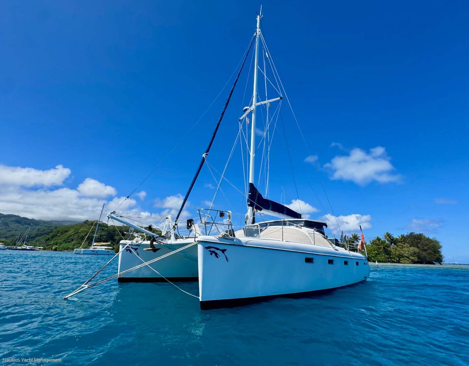 Used Privilege 435 Easy Cruise Model. 4 Cabins / 2 Hds. for Sale ...