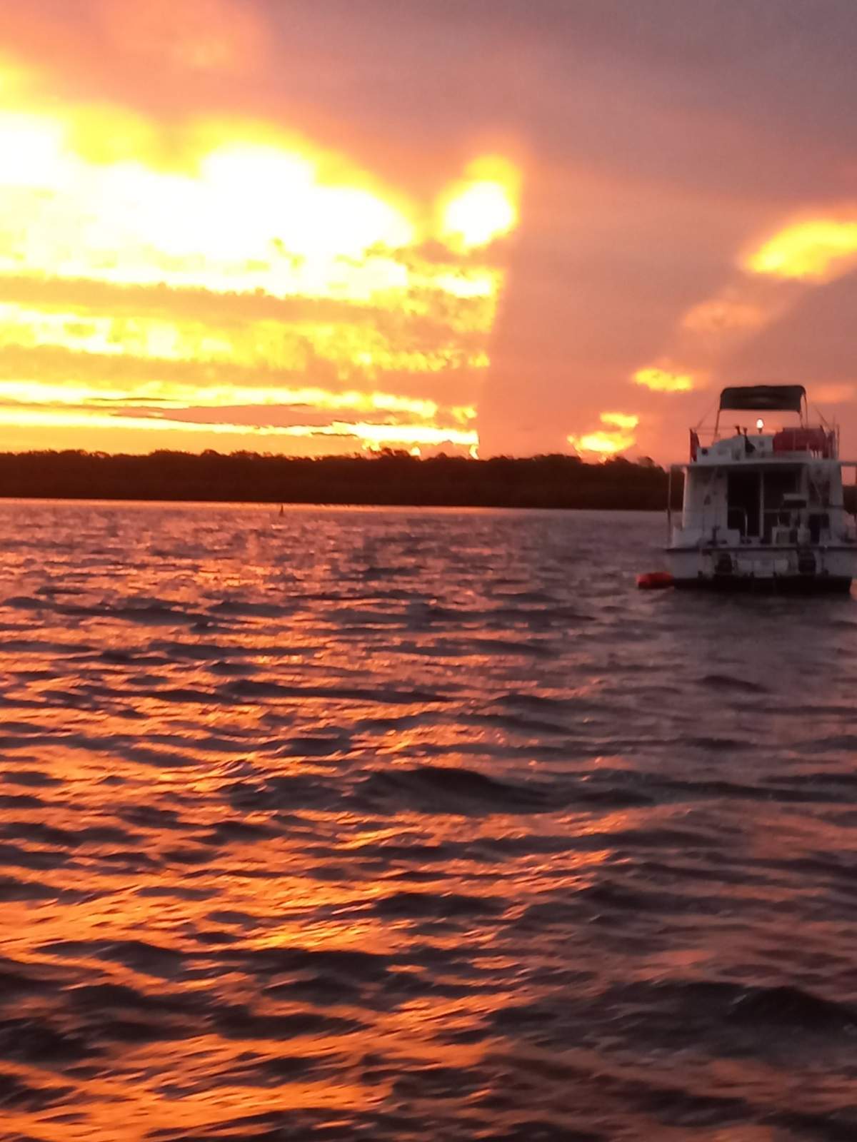 Used Caloundra Houseboats Coher 45 Plus Business Wiwo for Sale ...