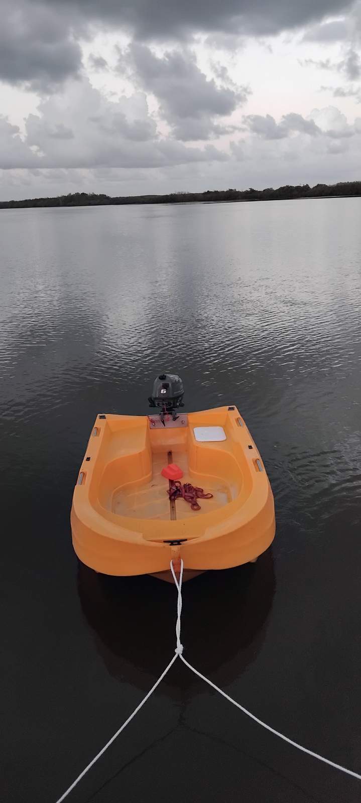 Used Caloundra Houseboats Coher 45 Plus Business Wiwo for Sale ...