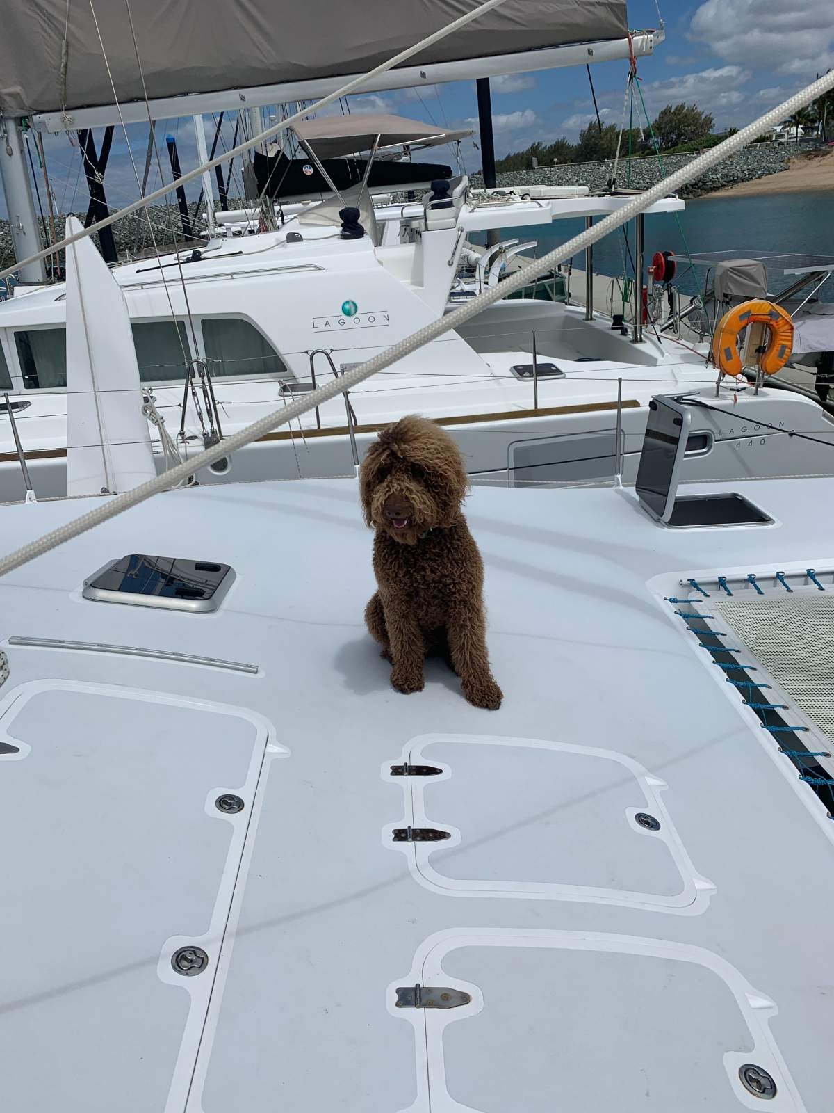 Used Pescott Whitehaven 12.7m for Sale | Yachts For Sale | Yachthub
