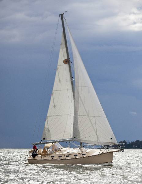 2013 Island Packet 360 | Boat Research | Boats Online