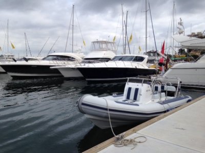 2016 Ballistic 6.0 | Boat Research | Yachthub