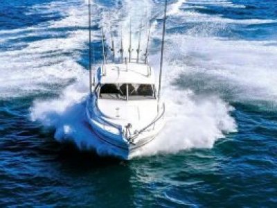 2016 Caribbean 2300 | Boat Research | Yachthub