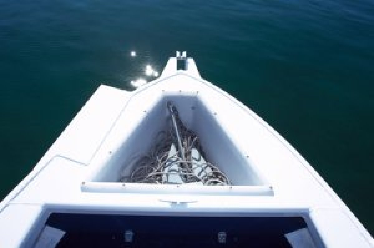2016 Savage Scorpion Console | Boat Research | Boats Online