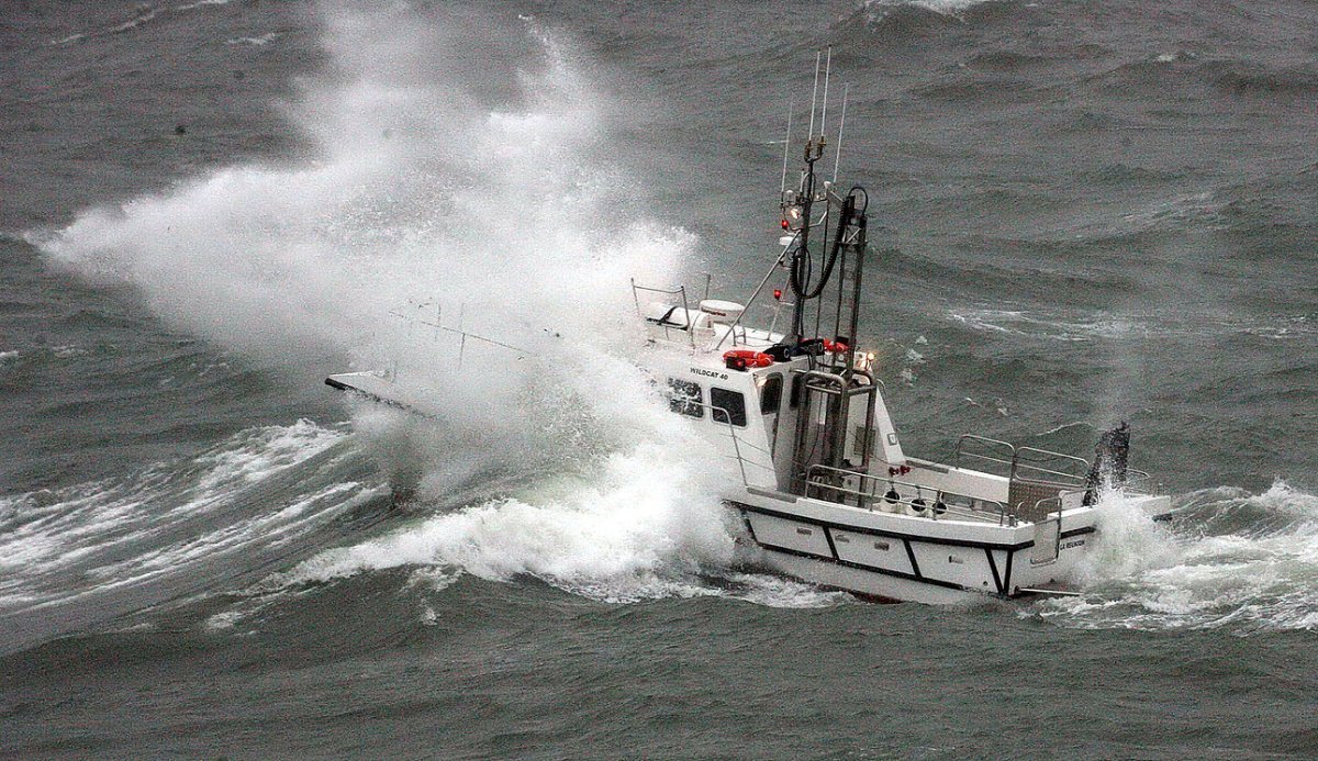 2017 Safehaven Wildcat 40 Hydrographic | Boat Research | Yachthub