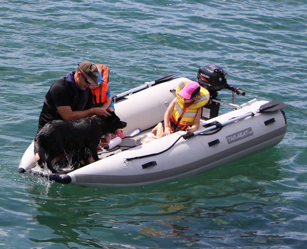 2019 Takacat 300lx | Boat Research | BoatsOnline