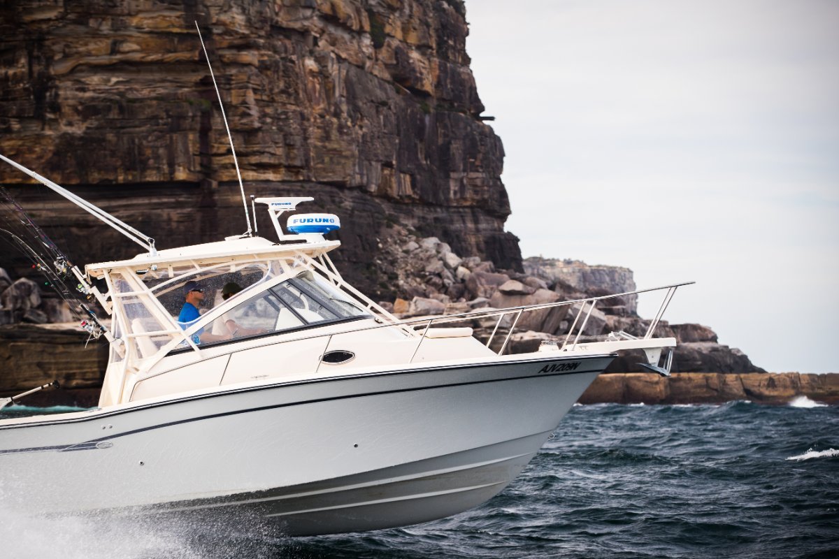 2024 Grady-white Marlin 300 | Boat Research | Yachthub