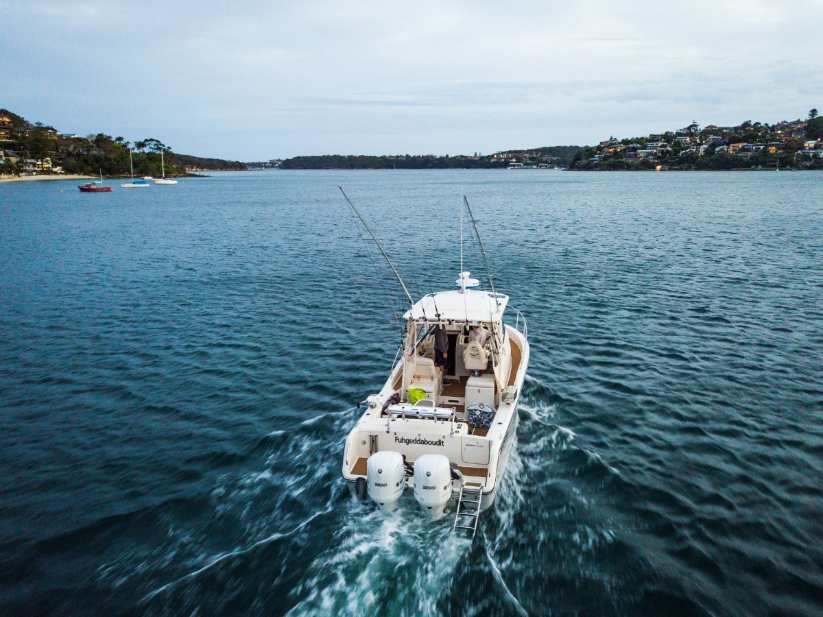 2024 Grady-white Marlin 300 | Boat Research | Yachthub