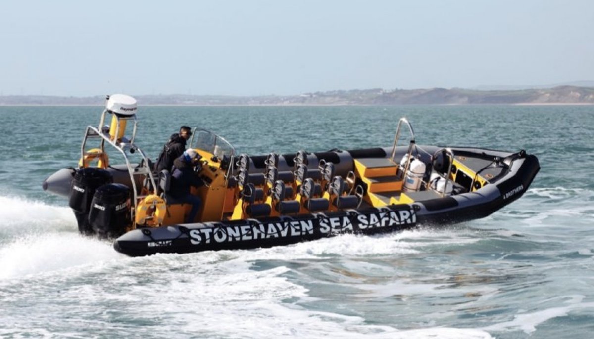 2023 Ribcraft 10.5 Pro Rib | Boat Research | Yachthub