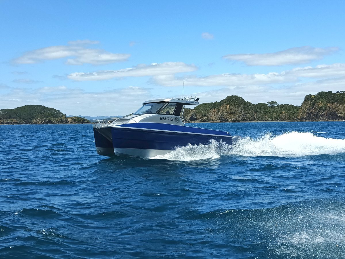 2023 Blue Diamond 700 Hard Top | Boat Research | Boats Online