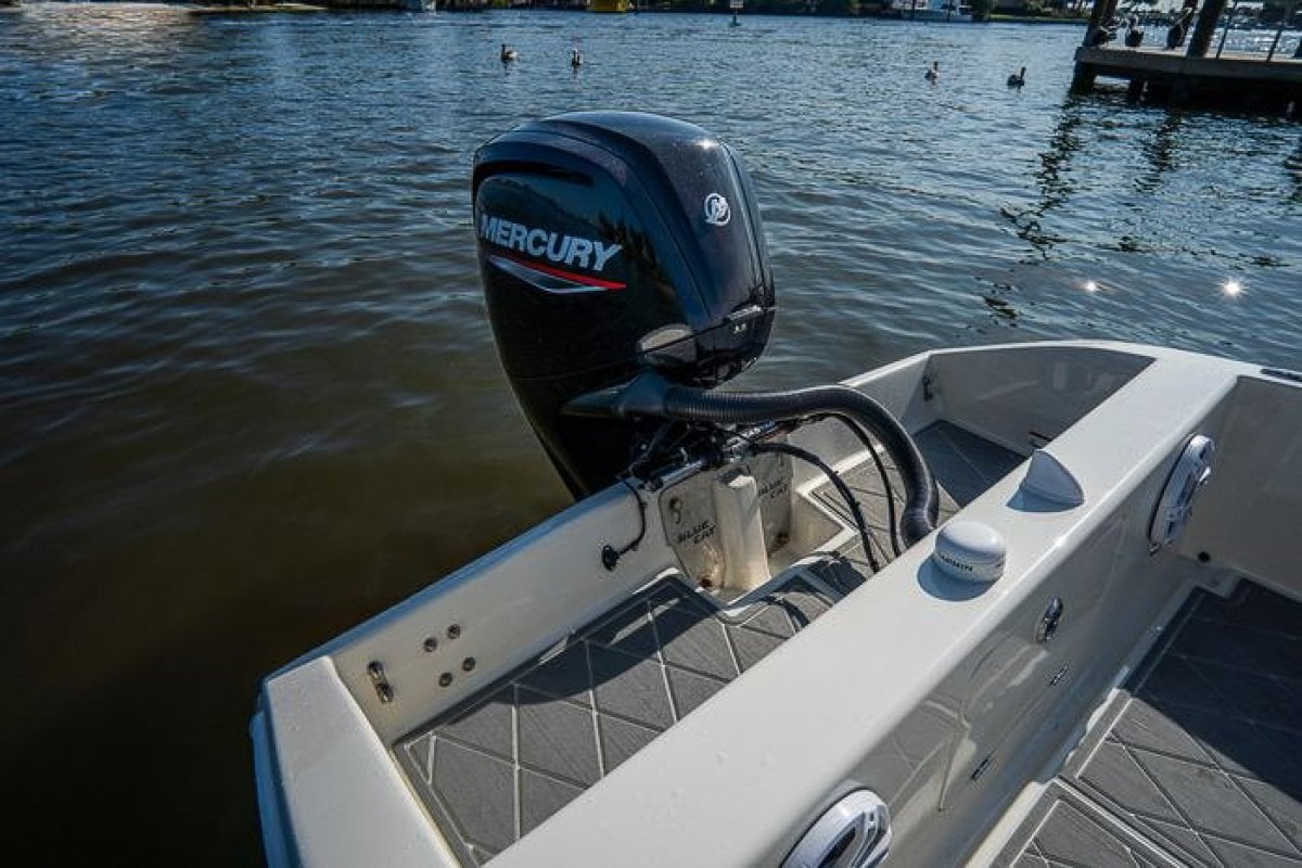 2024 Blue Cat 17 | Boat Research | Yachthub