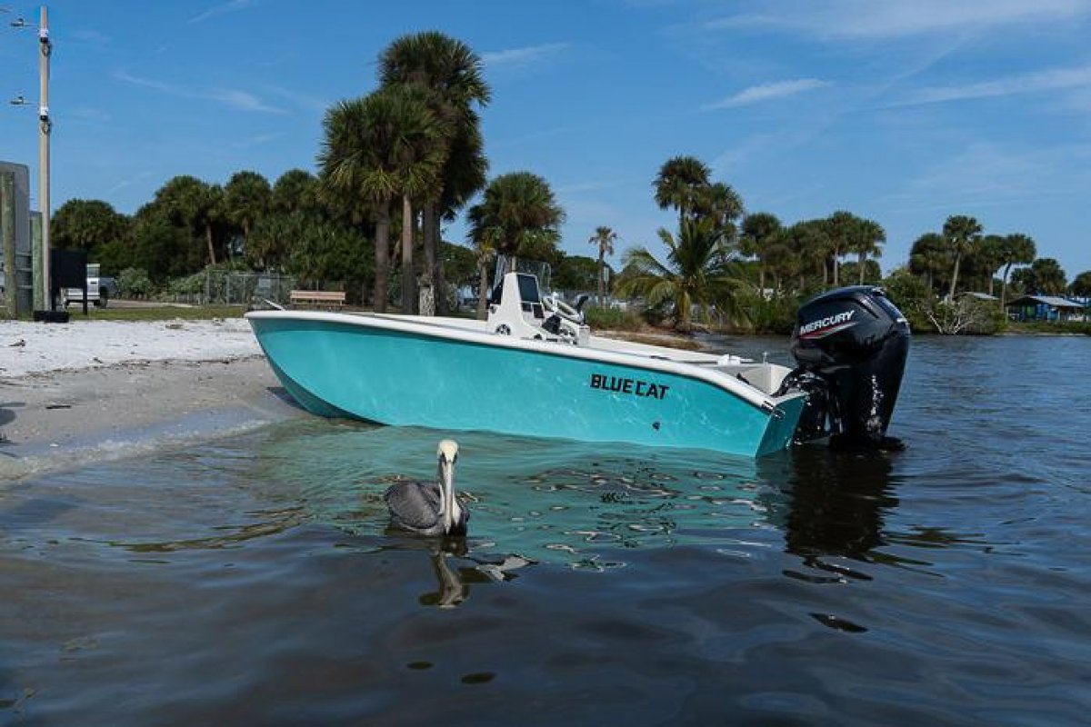 2024 Blue Cat 17 | Boat Research | Yachthub