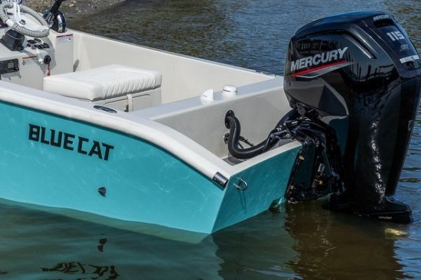 2024 Blue Cat 17 | Boat Research | Boats Online