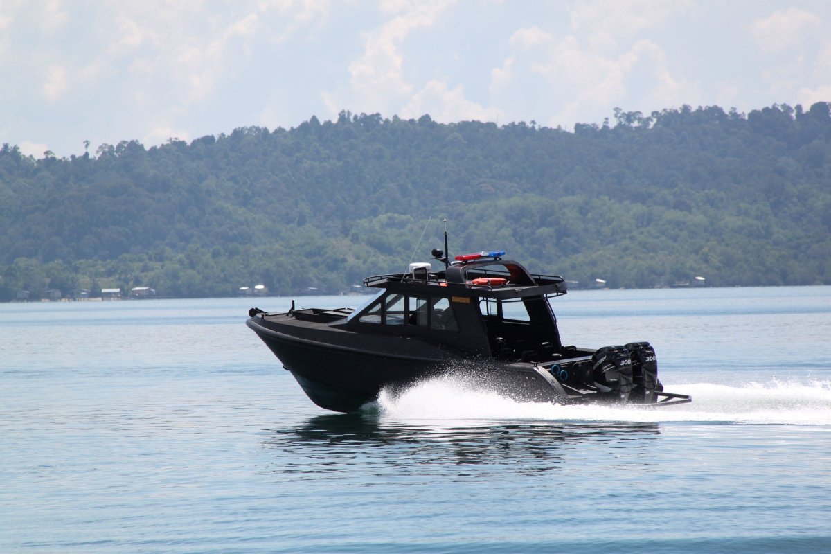 2025 Saltwater Commercial Boats 11.5 Interceptor Patrol | Boat Research ...